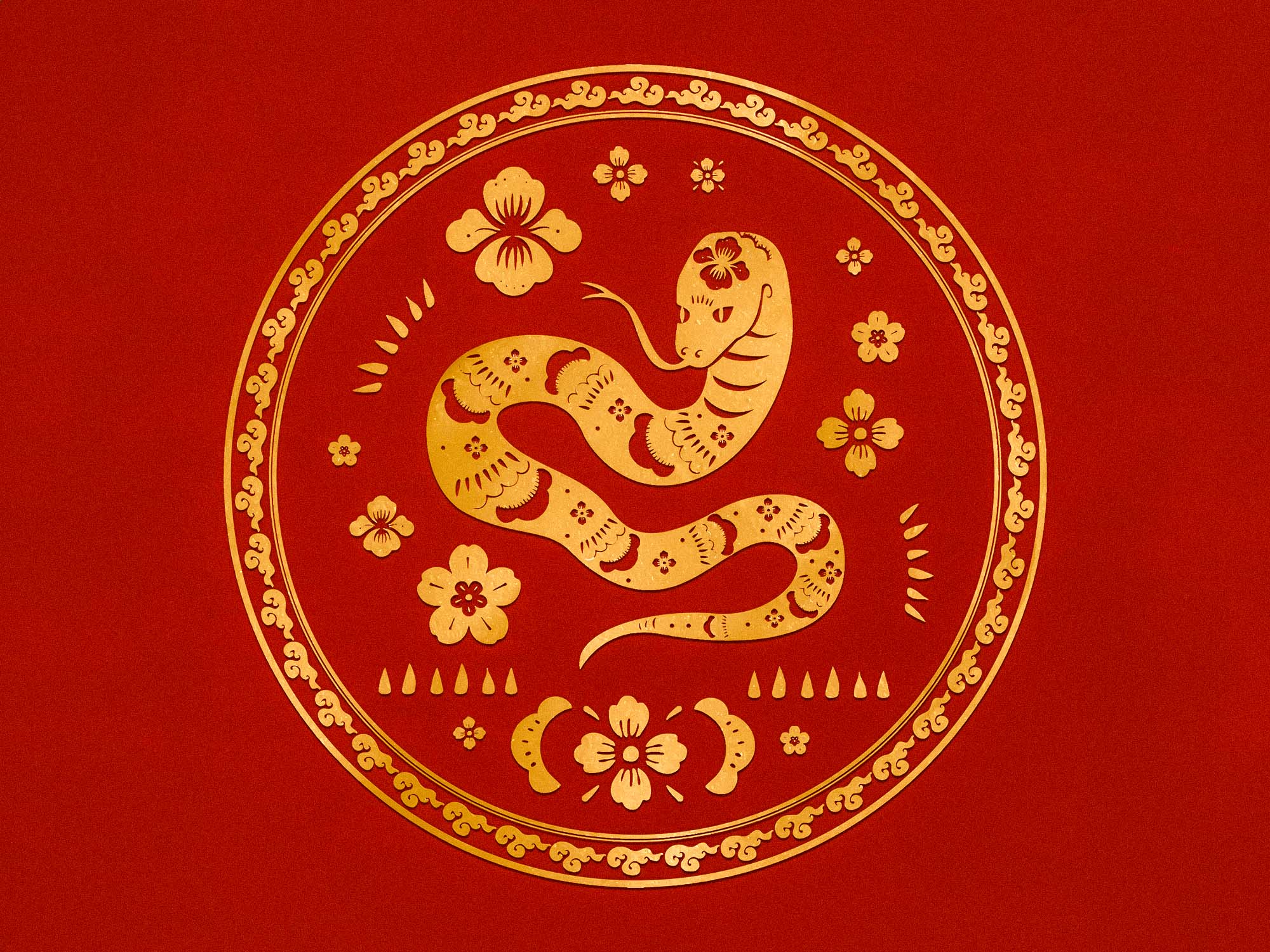Year of the Snake: 5 Stunning Prints to Celebrate in Style – Animato