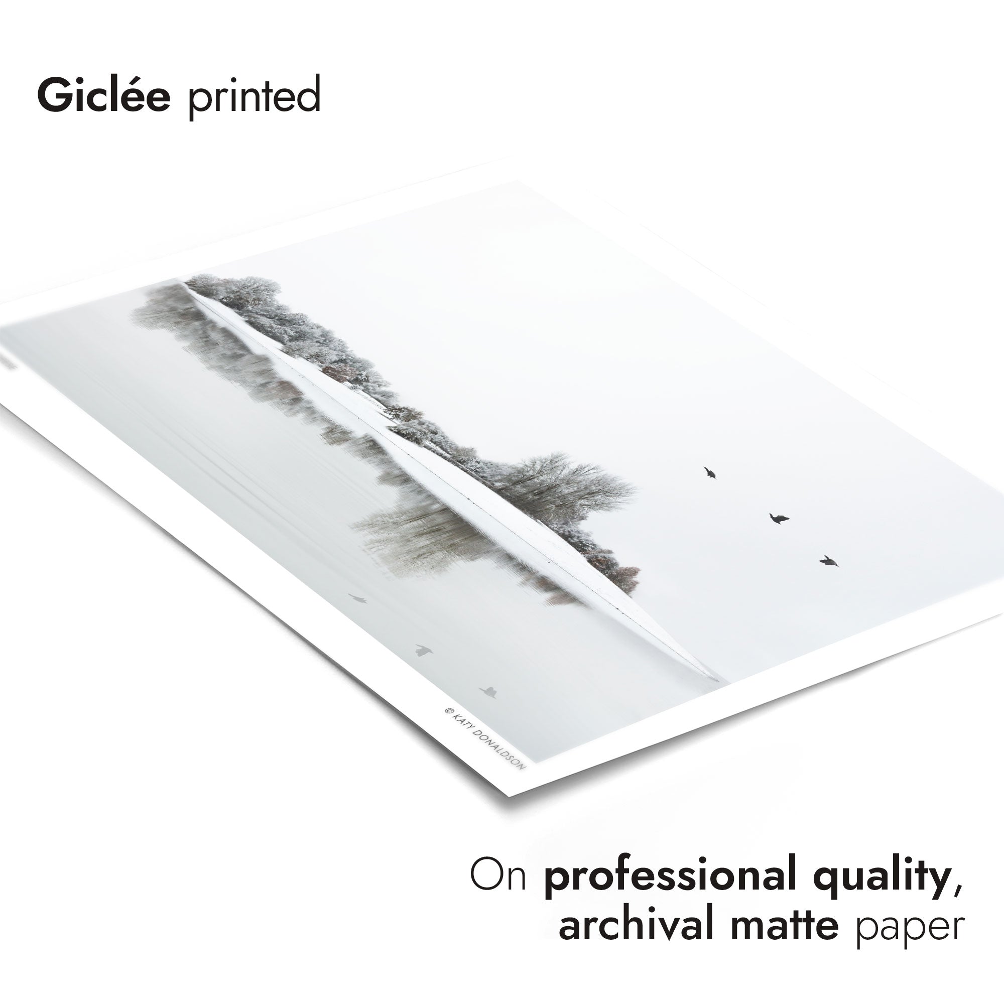 Flying Geese - Katy Donaldson | Framed Prints & Posters – Animato