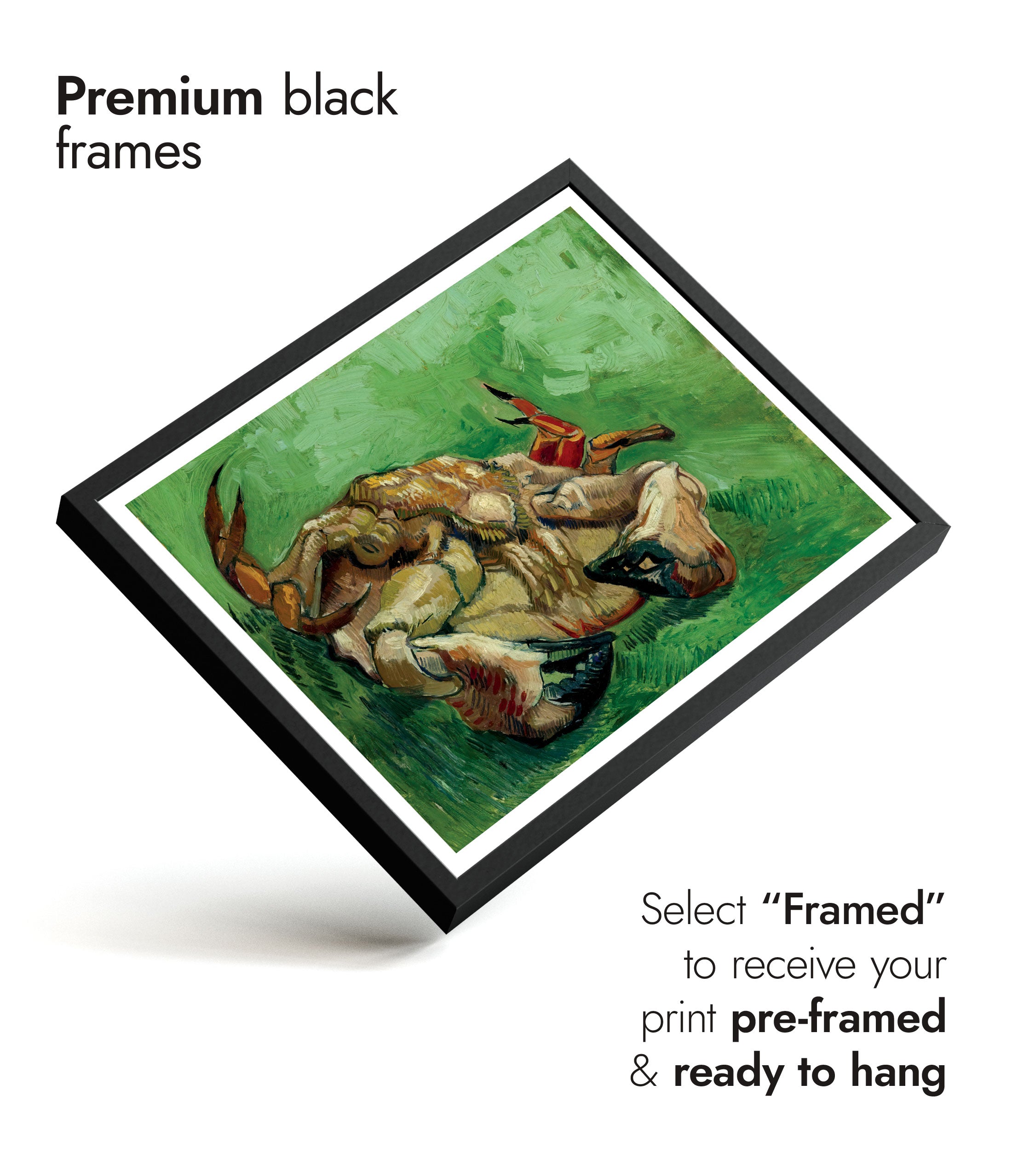 A Crab on its Back - Vincent van Gogh | Art | Framed Prints & Posters ...