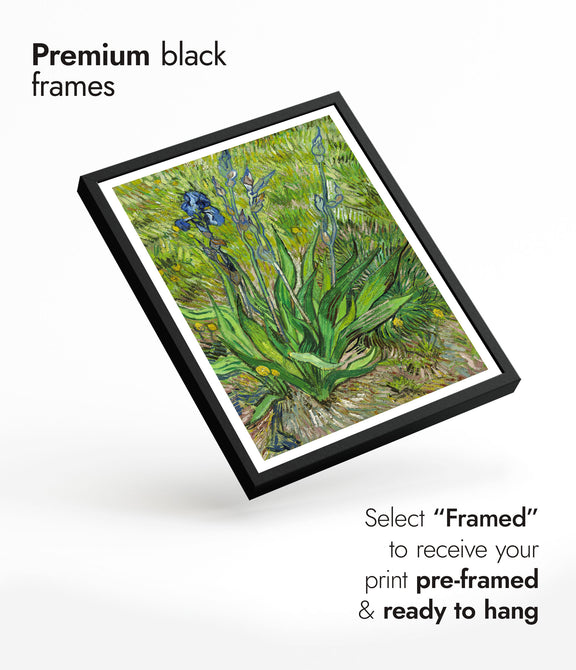Iris - Vincent van Gogh | Art | Framed Prints & Posters – Animato