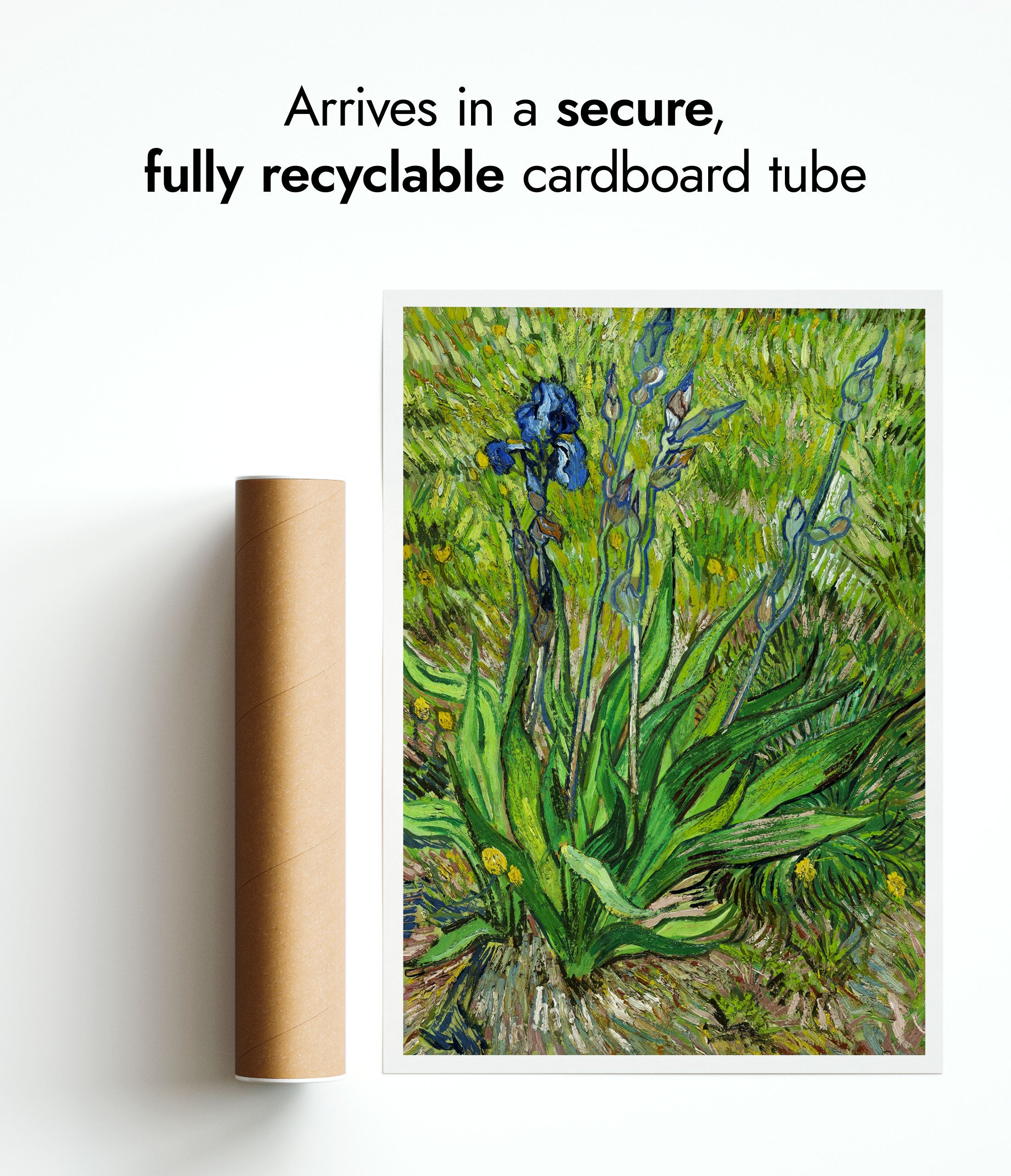 Iris - Vincent van Gogh | Art | Framed Prints & Posters – Animato