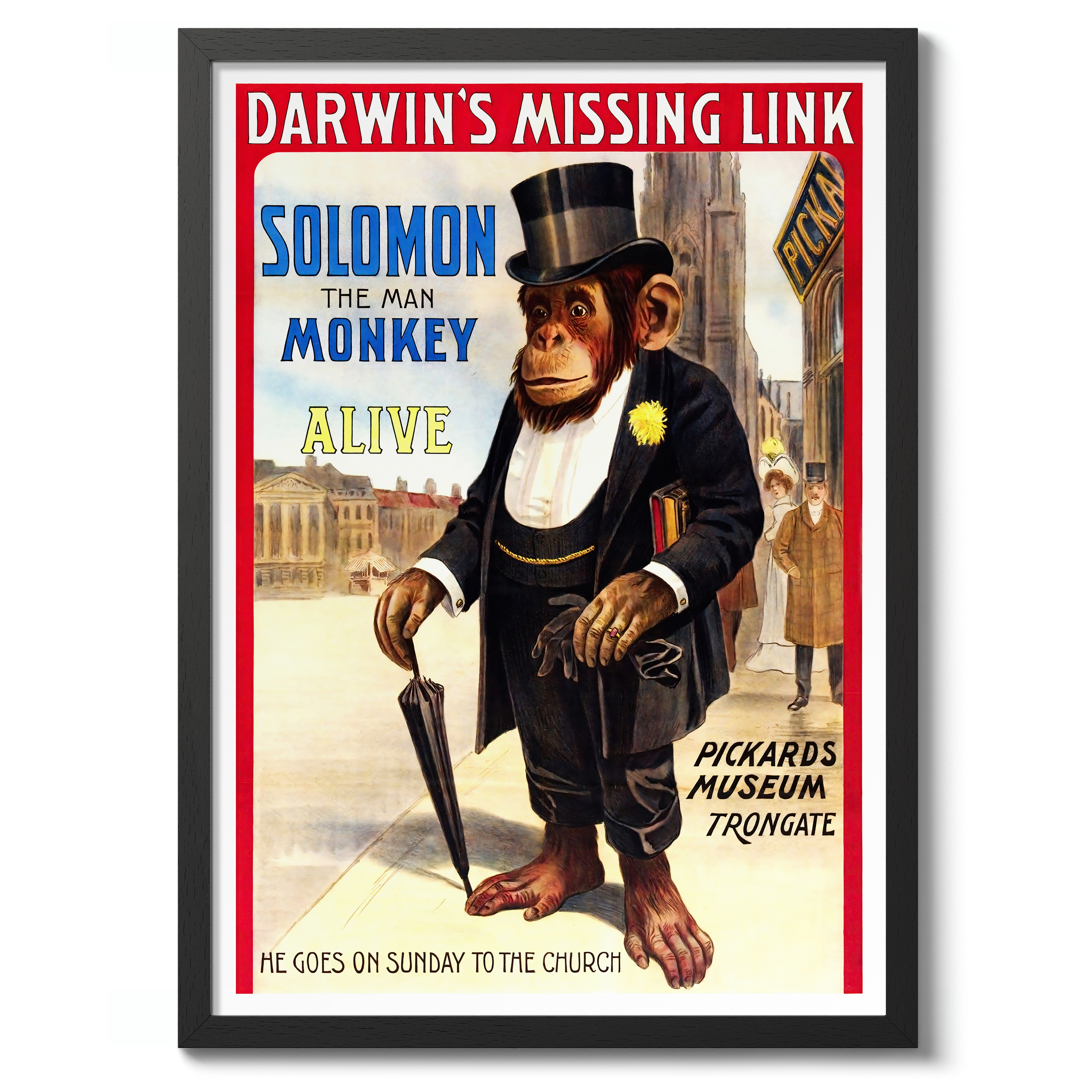 Solomon the Monkey - Vintage Advert | Vintage Ads | Framed Prints ...