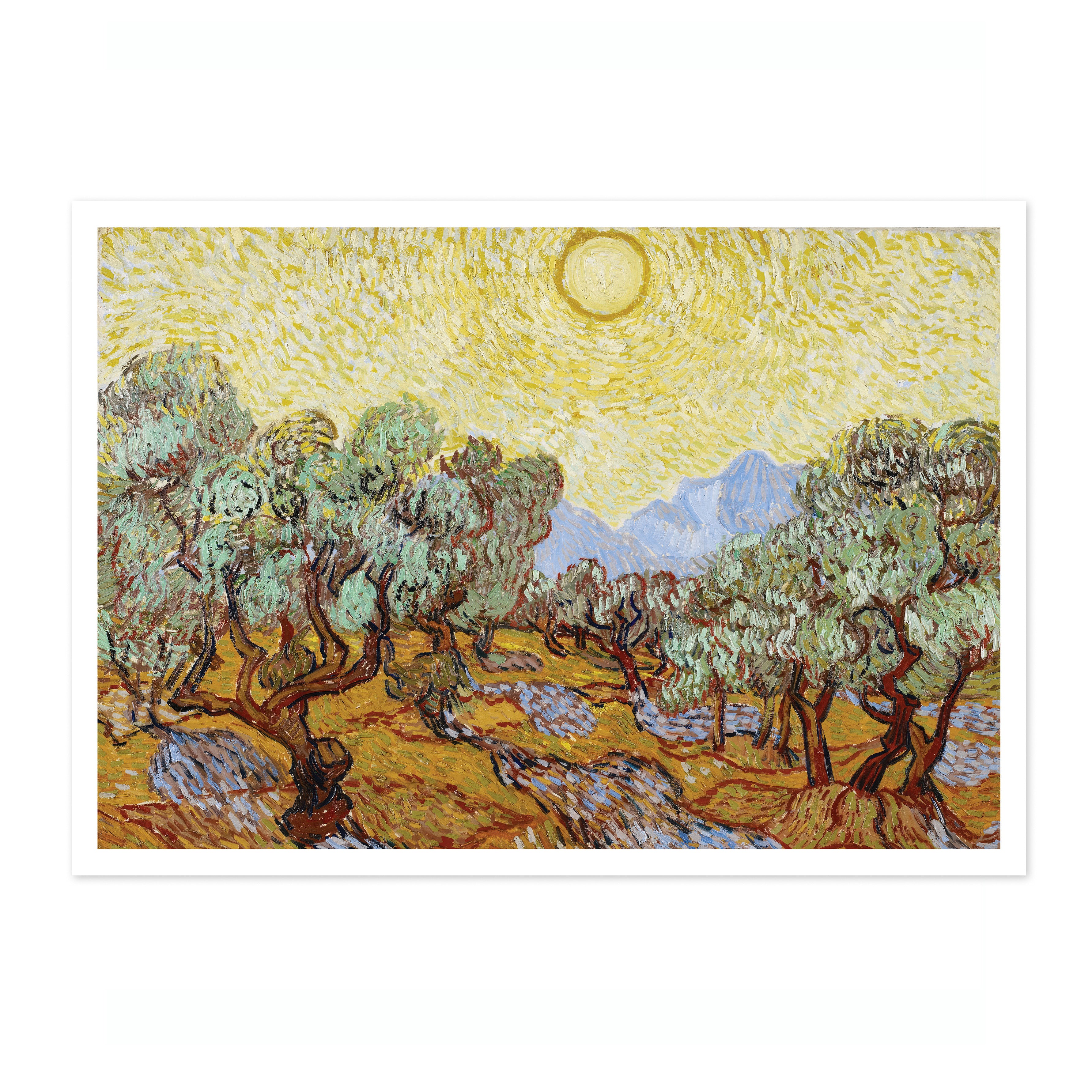 Olive Trees - Vincent van Gogh | Art | Framed Prints & Posters – Animato