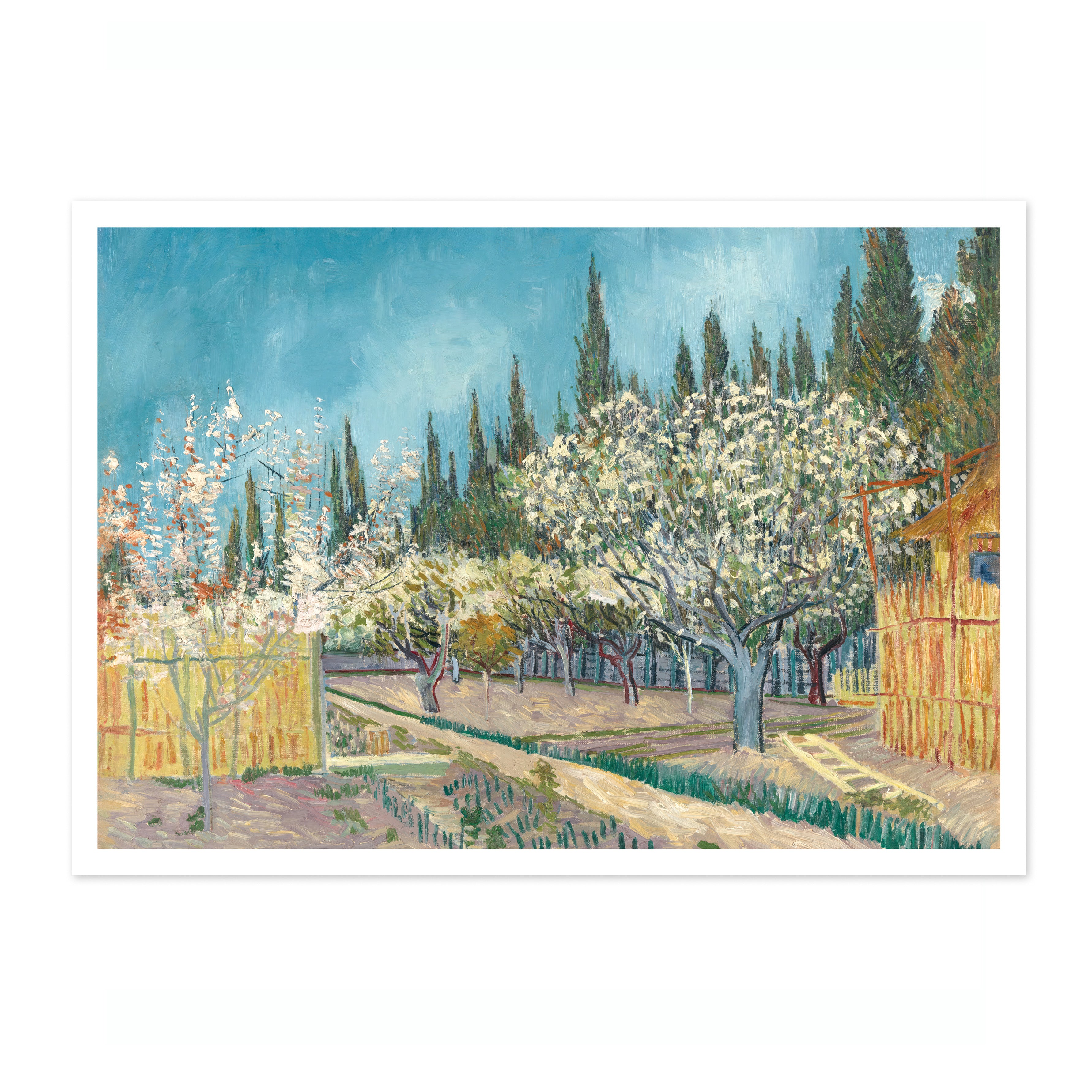 Orchard Bordered by Cypresses - Vincent van Gogh | Art | Framed Prints ...