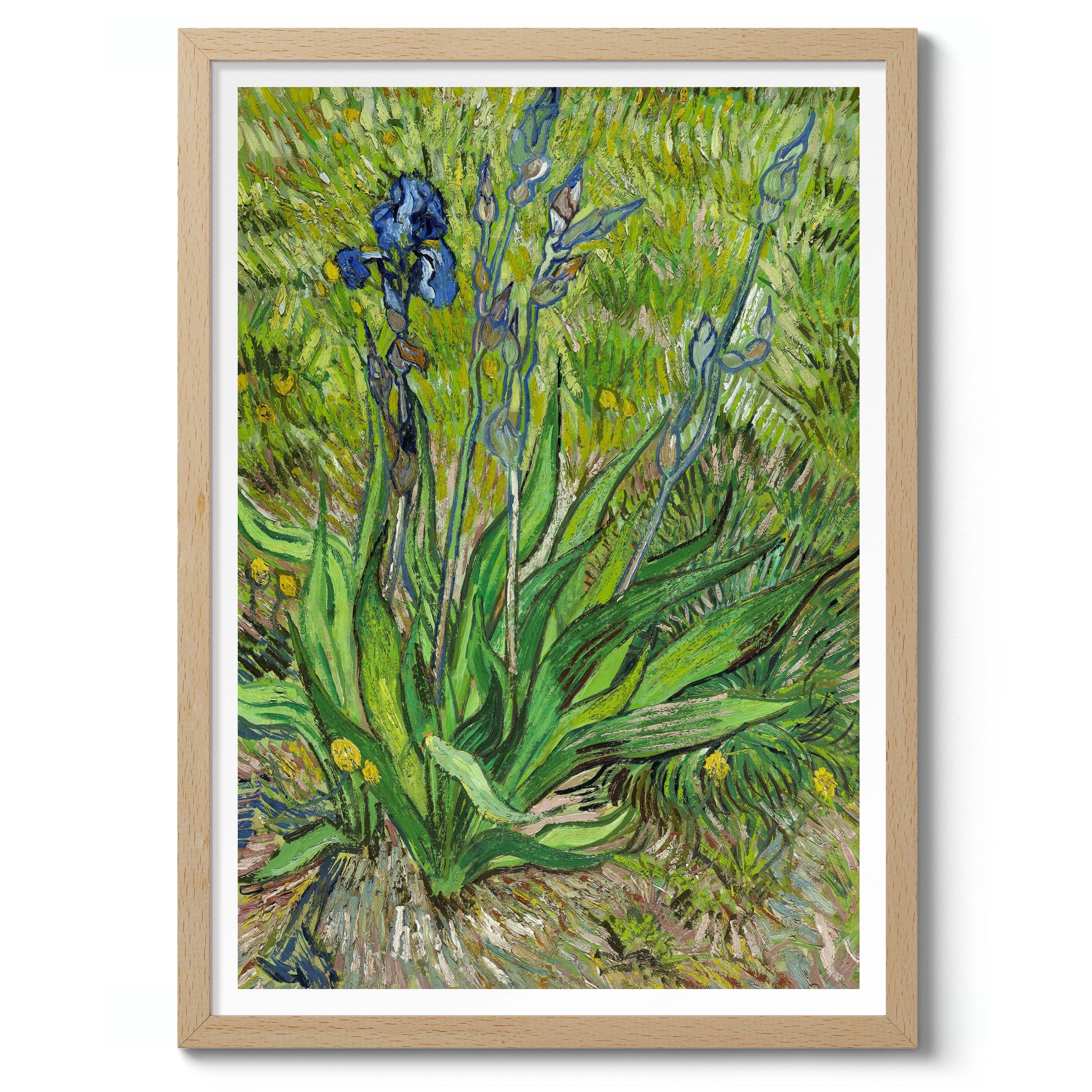 Iris - Vincent van Gogh | Art | Framed Prints & Posters – Animato