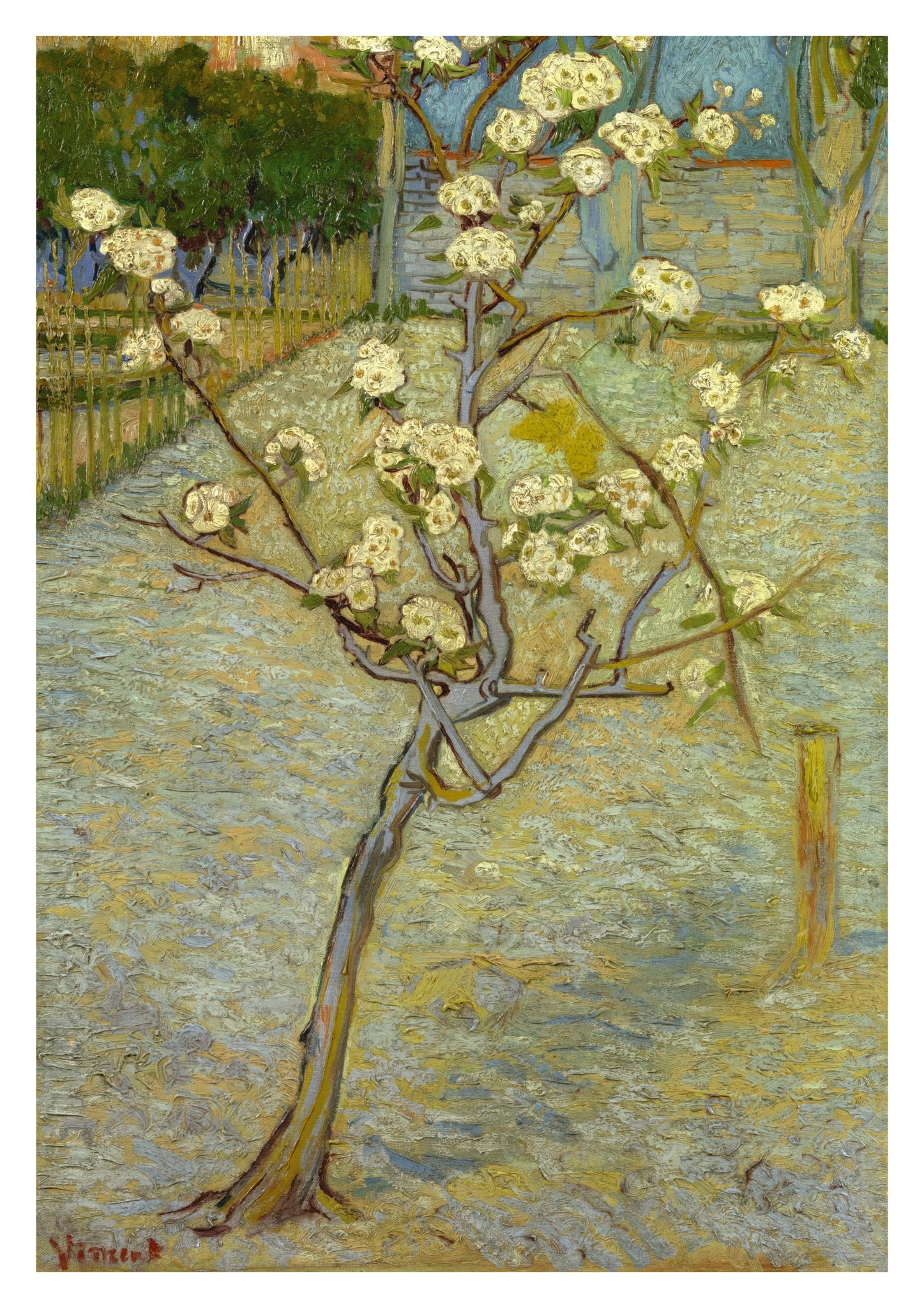 Small Pear Tree in Blossom - Vincent van Gogh | Art | Framed Prints ...