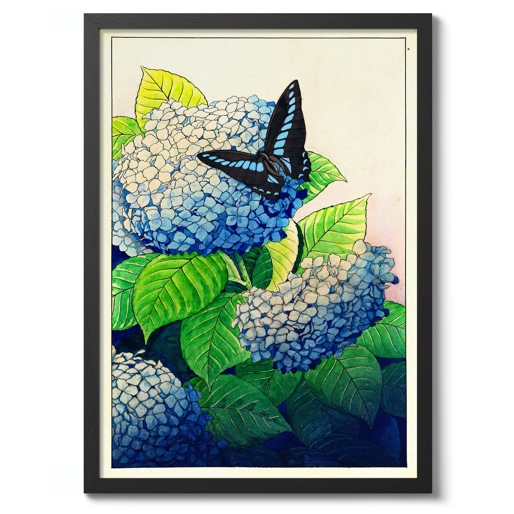 Hydrangeas and Butterfly - Taisui Inuzuka | Japanese Woodblock | Framed ...