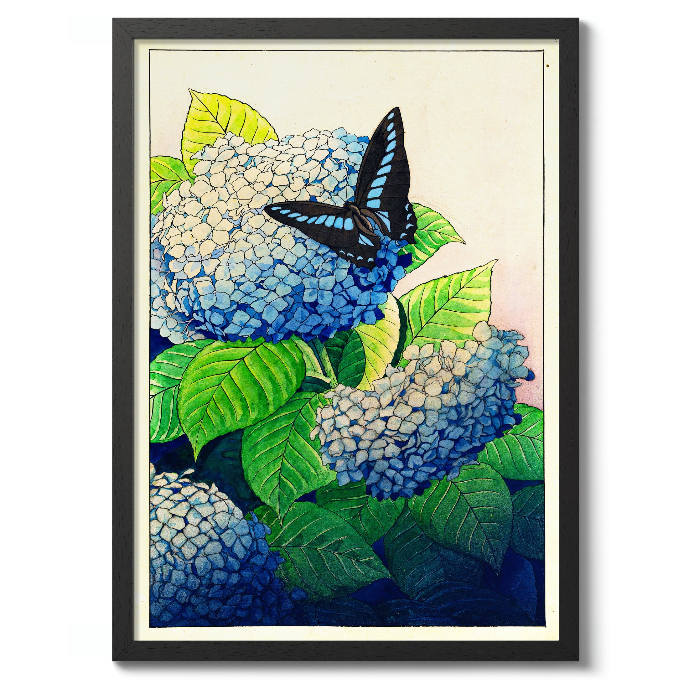 Hydrangeas and Butterfly - Taisui Inuzuka | Japanese Woodblock | Framed ...
