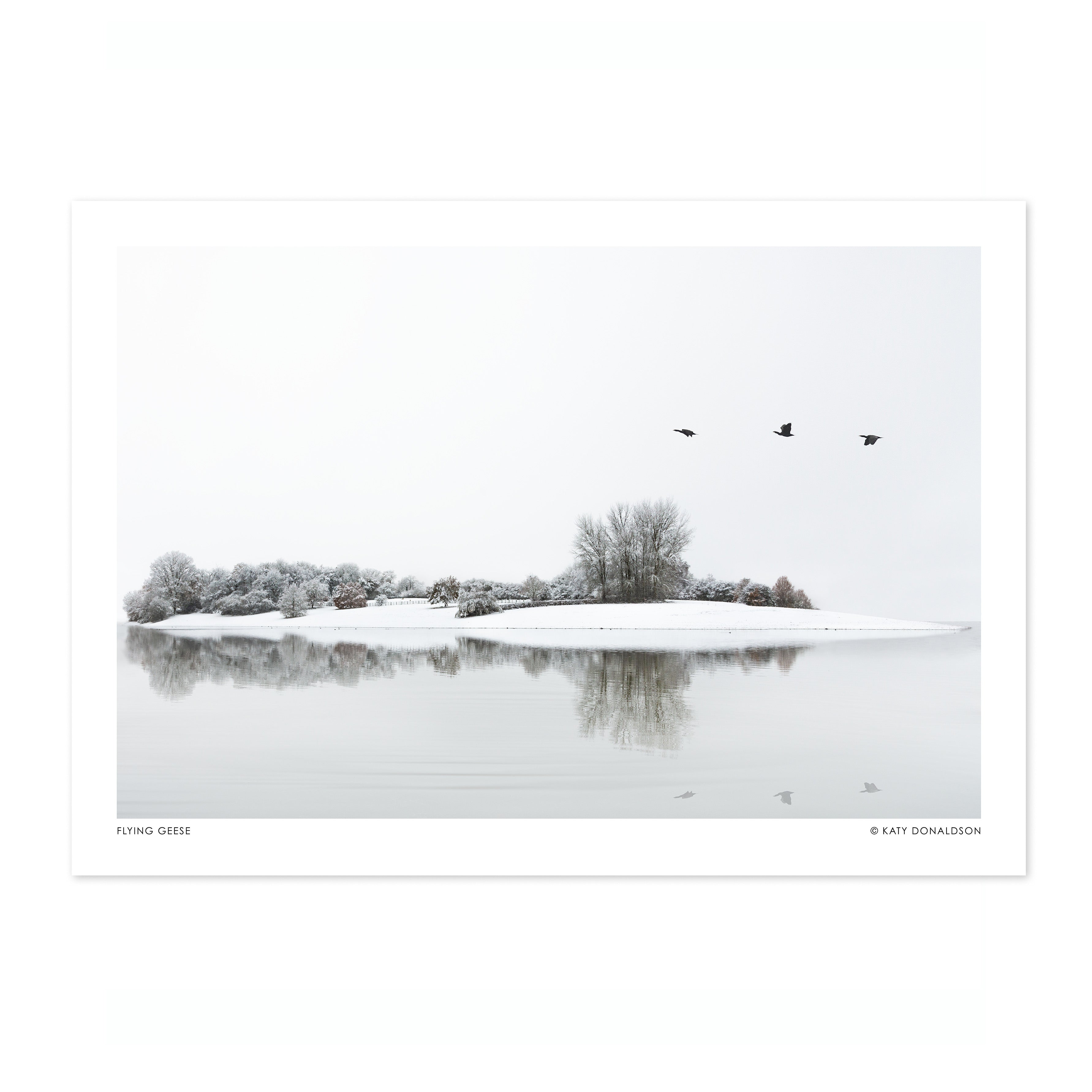 Flying Geese - Katy Donaldson | Framed Prints & Posters – Animato