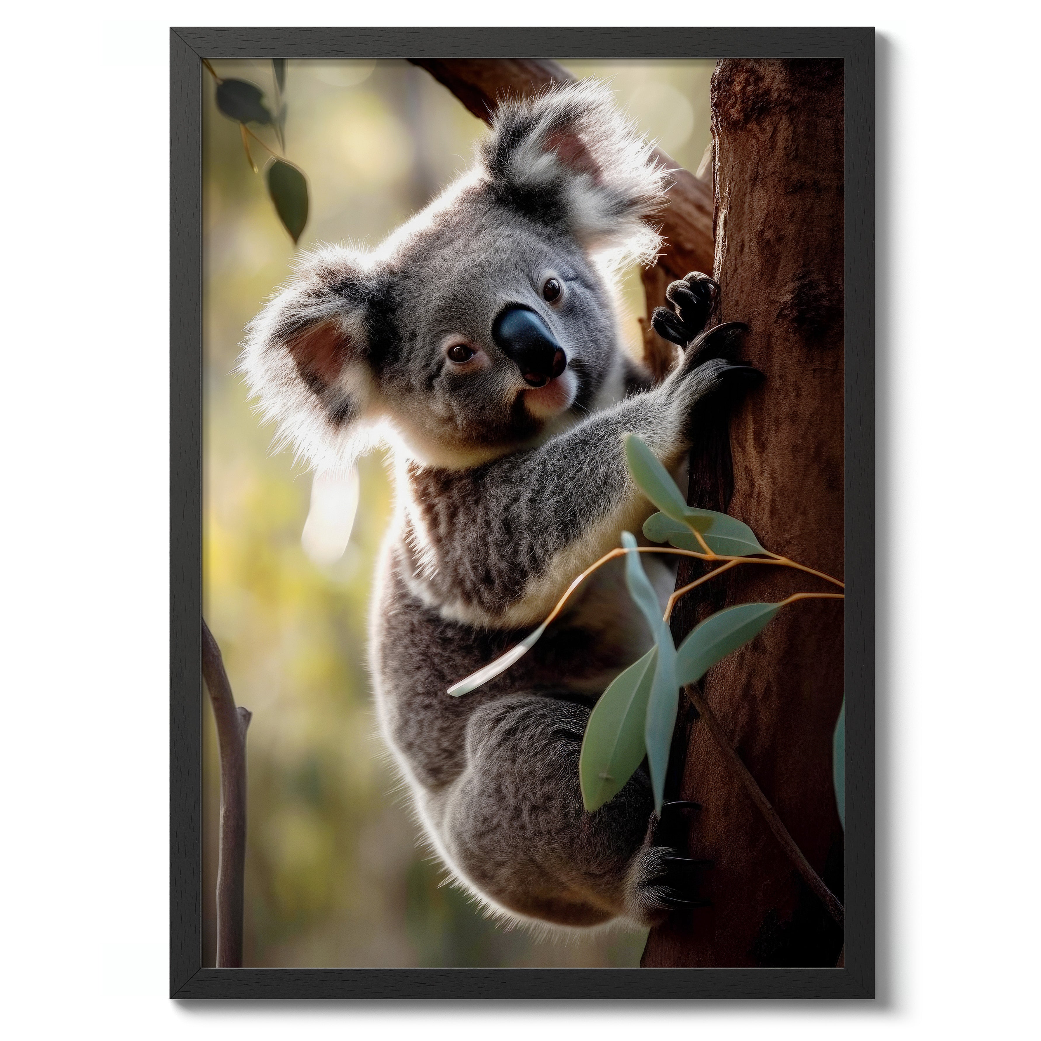 Koala - Nature Photography | Nature Photography | Framed Prints ...
